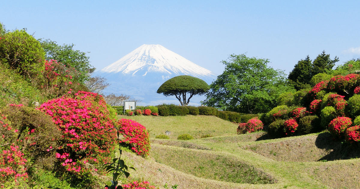 Mt. Fuji- Mishima: Nagoya Day-trip Sightseeing Series 8 - Centrip Japan