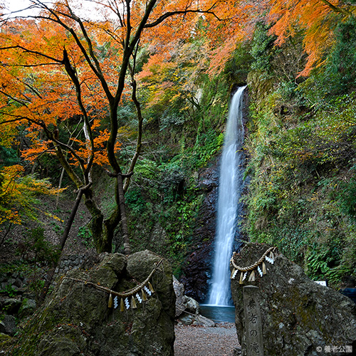 Yoro Park | Centrip JAPAN