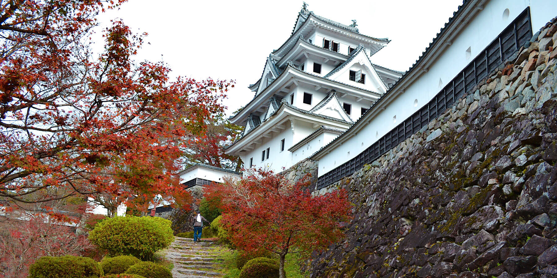 Dance the Night Away in Gujo Hachiman | Centrip JAPAN