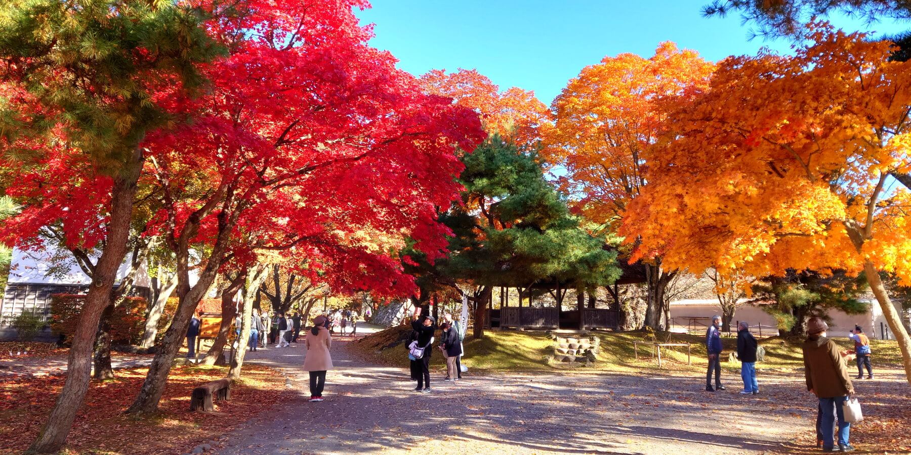 Komoro Kaikoen: Autumn Leaves and Castle Ruins | Centrip JAPAN
