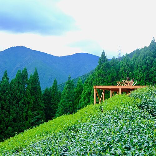 Tsuchiya Farm | Centrip JAPAN