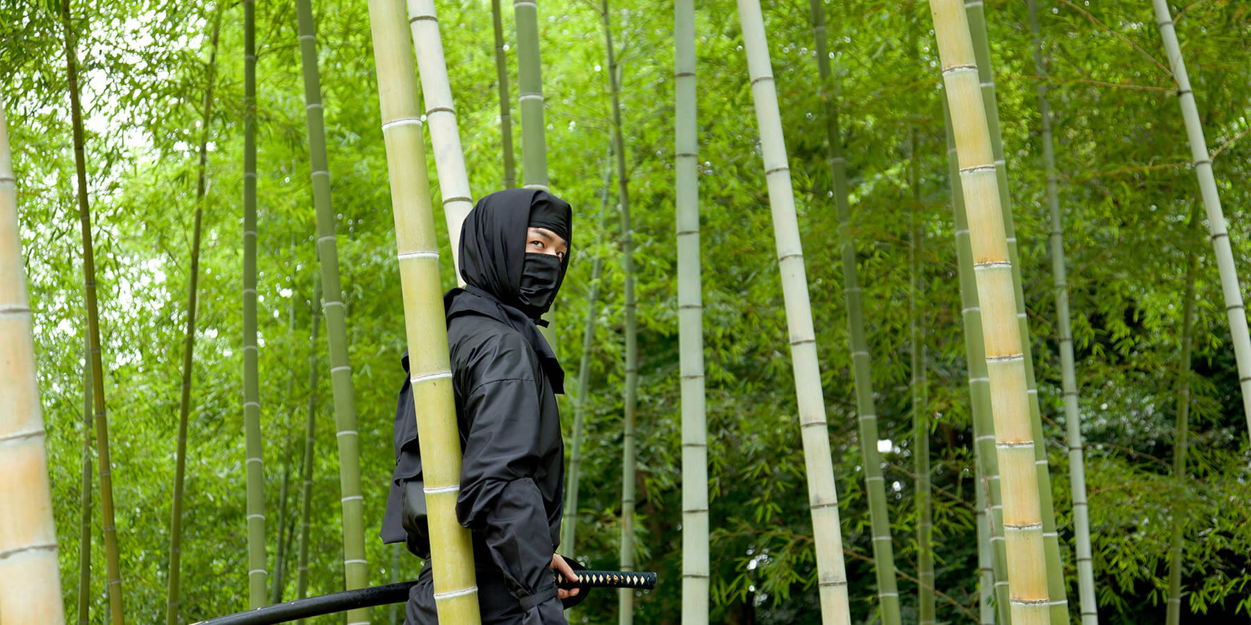 Iga and Koka: Japan’s Famous Ninja | Centrip JAPAN