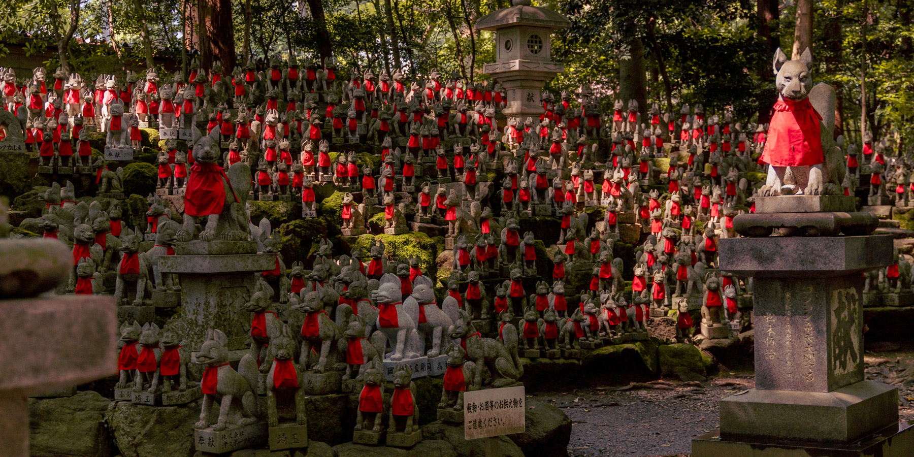Exploring Toyokawa Inari: Home to a Thousand Foxes | Centrip JAPAN
