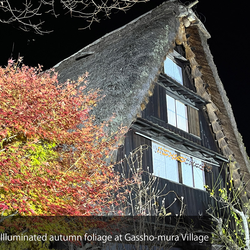 Limited Time Only! Exclusive Gero Onsen Night Tour: Illuminated Autumn ...