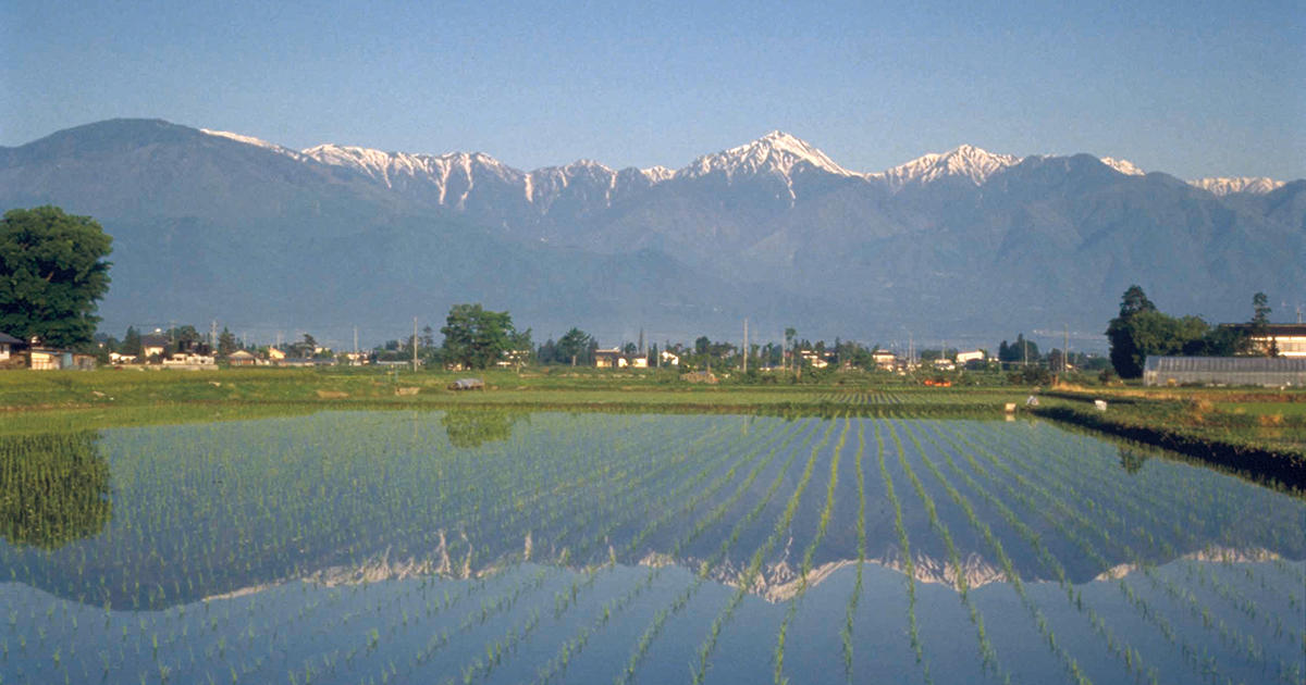 ALPS Azumino National Government Park | Centrip JAPAN
