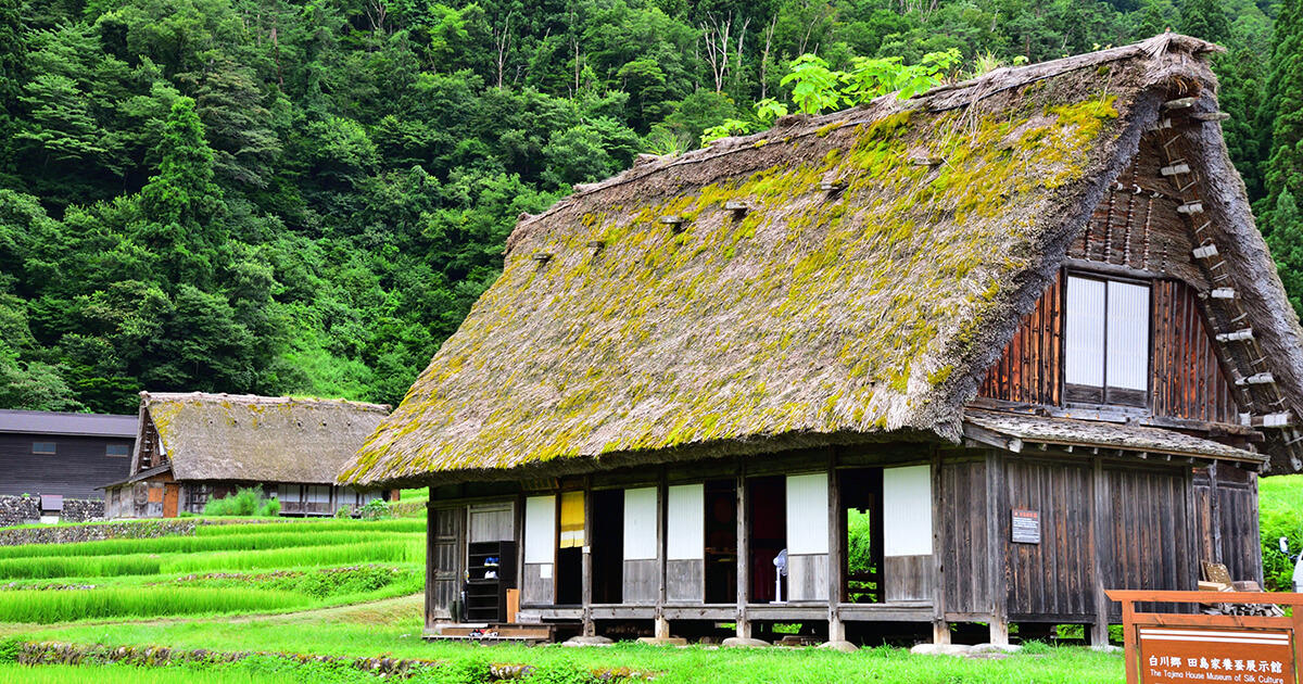 Tajima Sericulture Museum | Centrip JAPAN