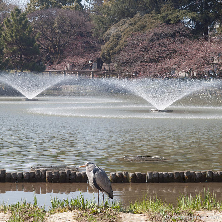 The visual pleasure of Nagoya (vol.1) - Centrip Japan